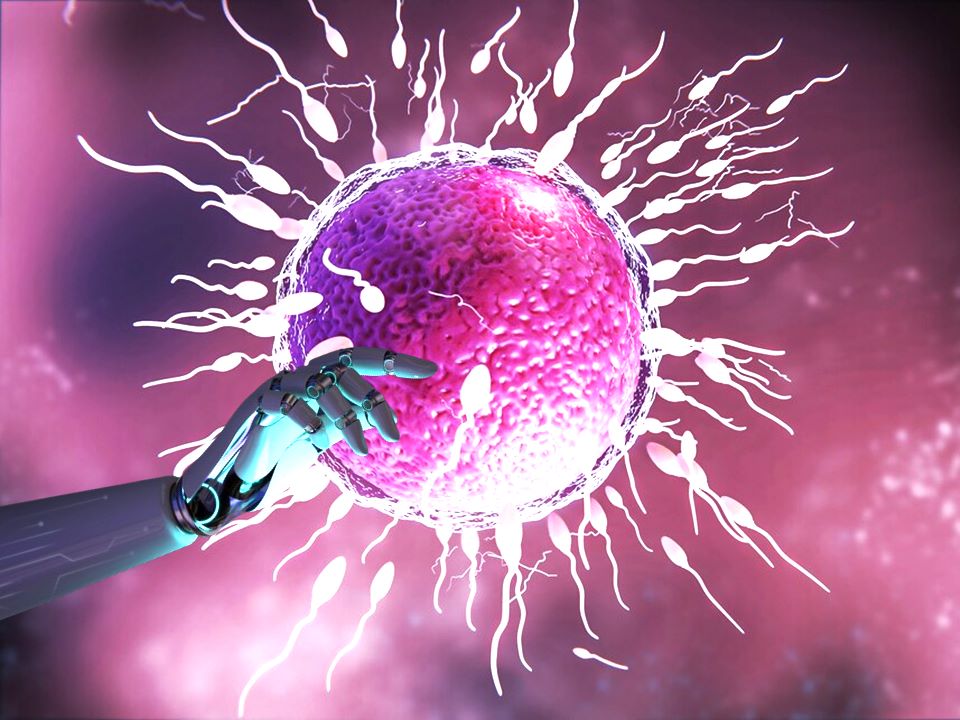 Future Trends in Fertility Treatments: AI and Robotic Innovations ...
